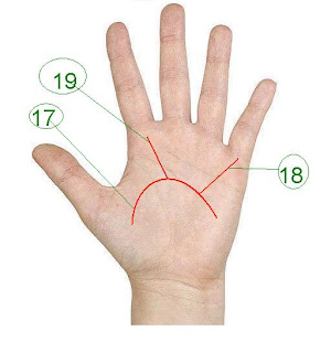 palmistry: Know your Future: Head line and its different meanings: part -2