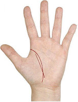 palmistry: Know your Future: Double life lines: Extra life