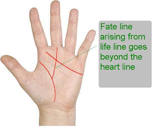 Fate Line and meanings - Palm Reading India