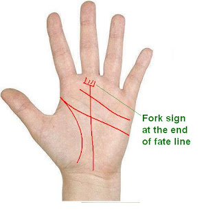palmistry: Know your Future: Fork sign at the end of fate line: Sign of ...