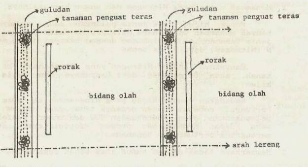 MARI KITA MENYULUH PERTANIAN: TEHNIK PEMBUATAN RORAK SEBAGAI MEDIA ...