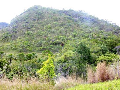 Cultura Goiana: A importância do Cerrado como patrimônio histórico.