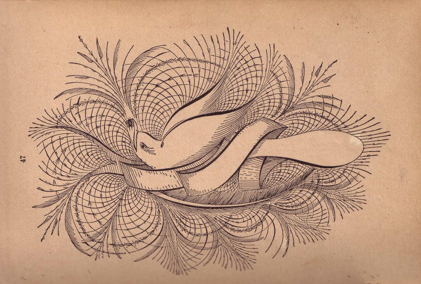 she moves the furniture: Art: Penmanship Drawings