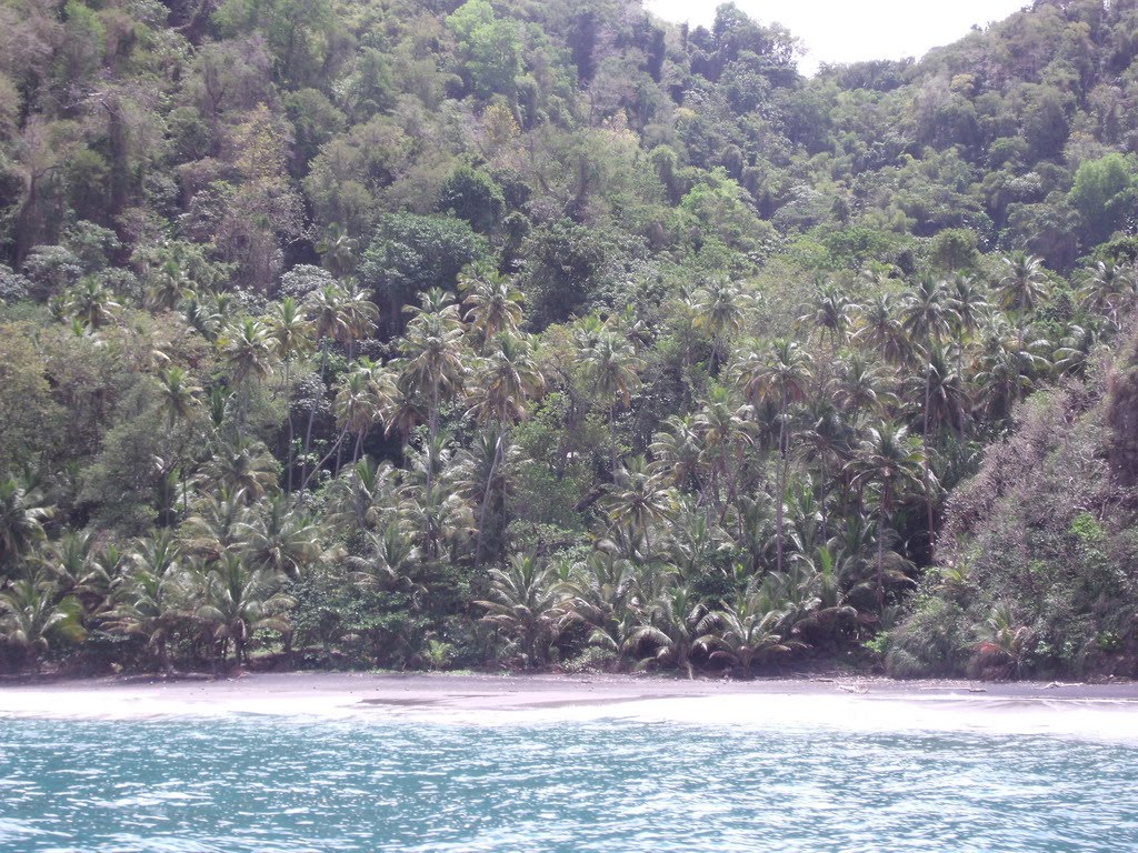 Marrrrtiiiniiique!!!!: une journée avec Jean-Guy, le géant Bozambo etla ...