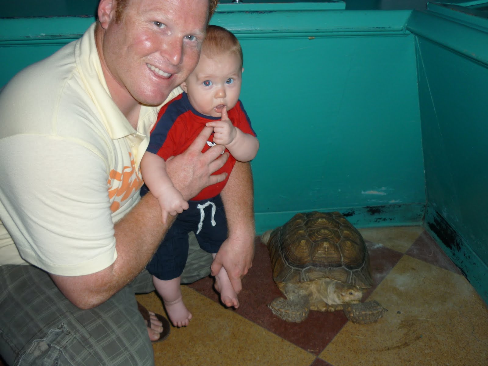 The Quattlebaum Family