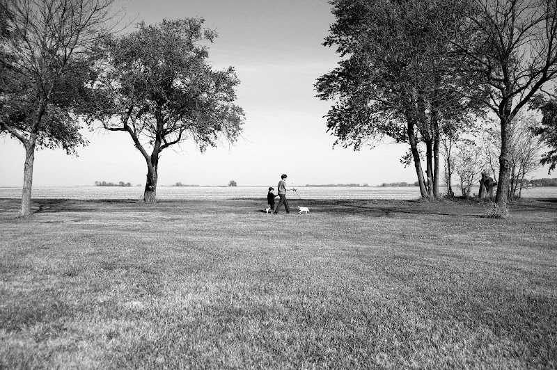 Ben Green Photography: Rose and Rich Varriano