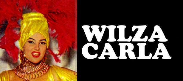 WILZA CARLA: maio 2010