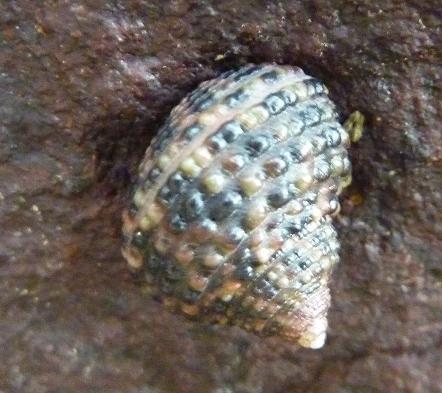 Crystal and Bryan in Singapore: Singapore Camping!