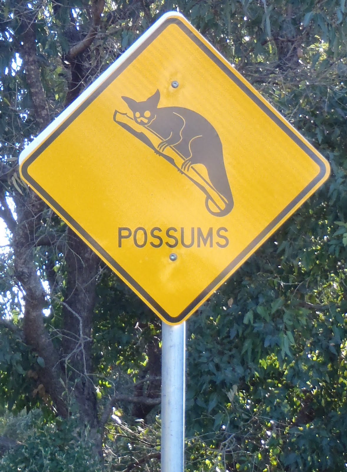 Julie and Ben: Livin' Down Undah: Anticipating the taste of stolen lemons