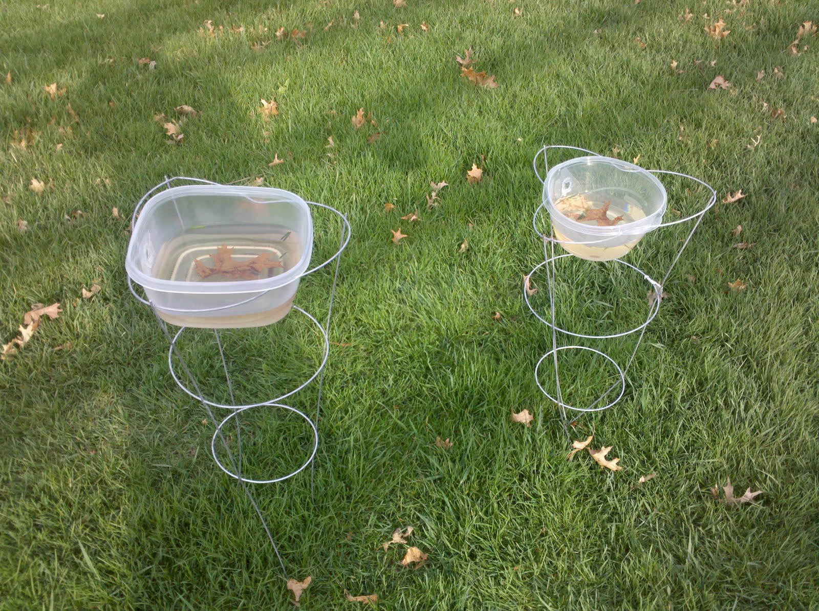 The Agricultural Landscape Ecology Lab: Aphids Watch Out!