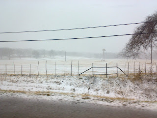 El Sol De Texas: Gran Tormenta de Nieve en Texas