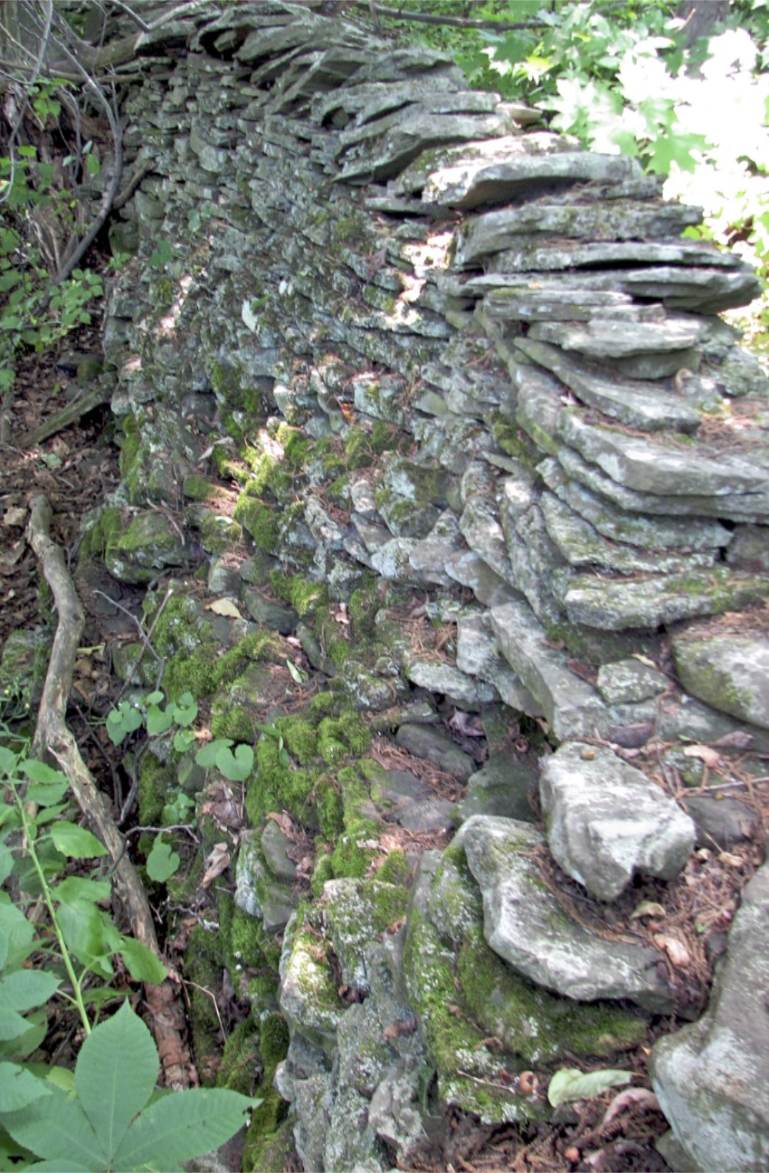 Merry@Syracuse: Stone Wall at Woodbourne Forest and Wildlife Preserve ...