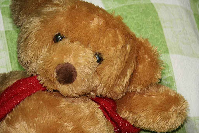 ThOuGhTs, iDeAs, oPiNiOnS, cHaTtEr: DIY Flash Bounce/Diffuser