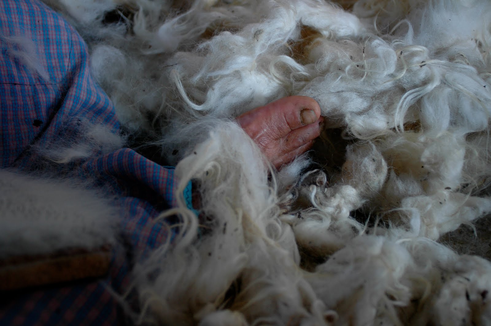 Artists Helping Artisans: Preparing wool stage 2 - brushing and spinning