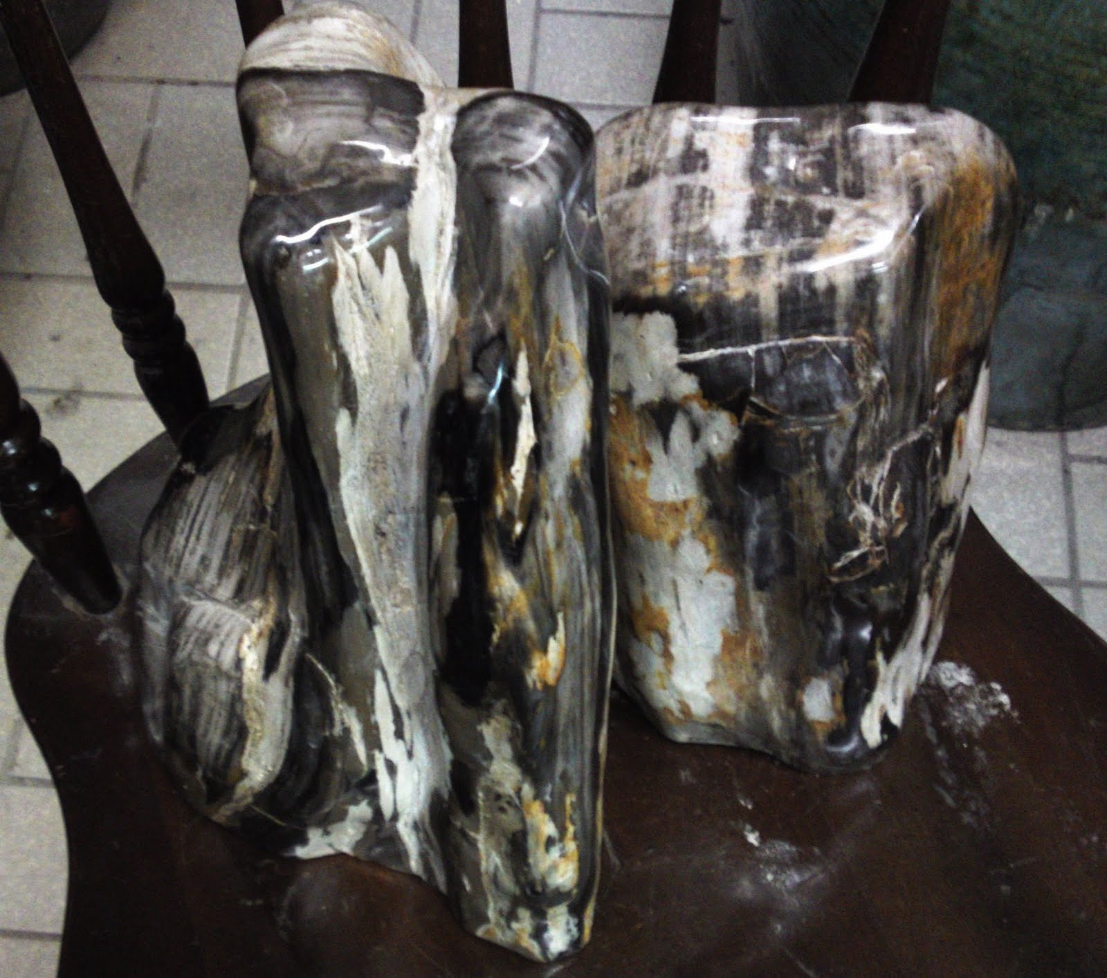 BLOG KOLEKSI MEGA MISTIK DAN ANTIK ANTARABANGSA: Fossil Kayu Jadi Batu