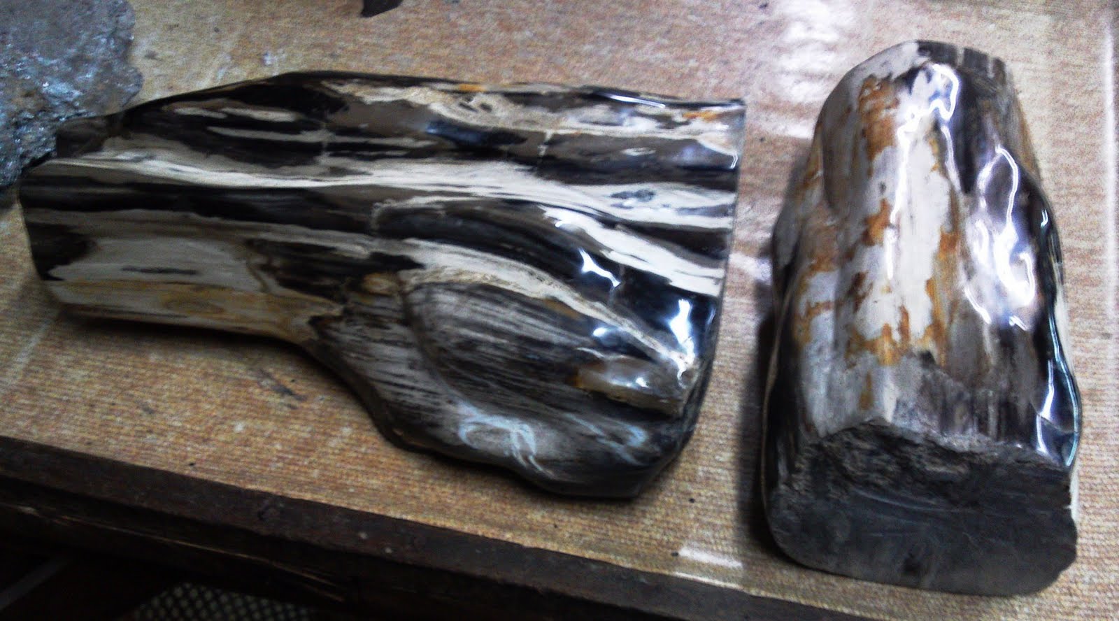 BLOG KOLEKSI MEGA MISTIK DAN ANTIK ANTARABANGSA: Fossil Kayu Jadi Batu