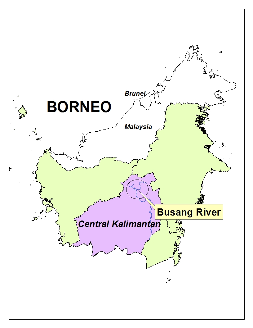 Branch2Branch - Tales from the Treetops: Asking for your support :)