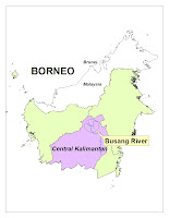 Branch2Branch - Tales from the Treetops: Asking for your support :)