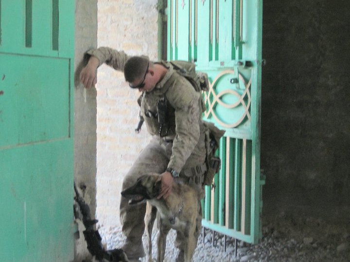 Saving Kujo: Rescuing a US Marine Platoon's Dog: Kujo with His Squad