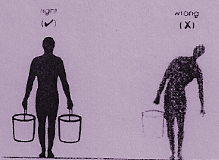 Techie Surgeon: Back pain and posture.