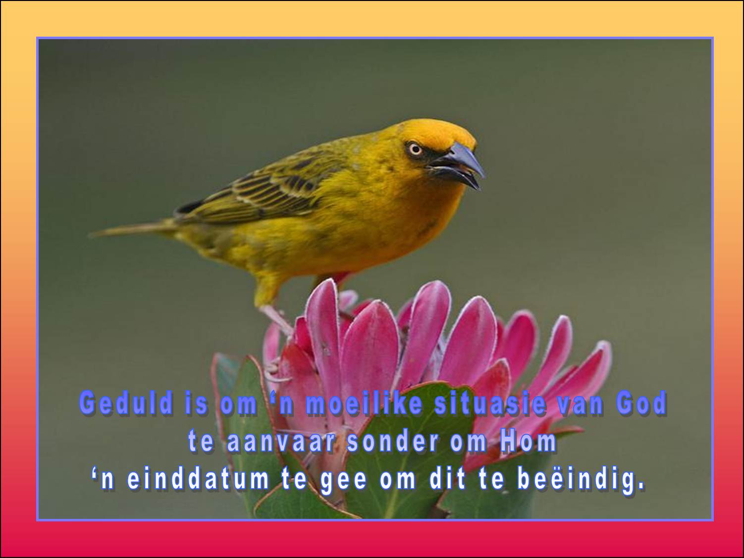 Let's Talk About It...: 3. Mooi Gedagtes