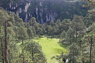 OAXACA: Las cuevas del Cheve