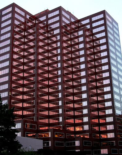 eMORFES: 20 Real Life Optical Illusions