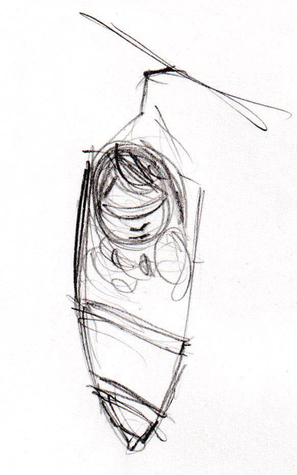 Linda_Hensley: "Cocoon"