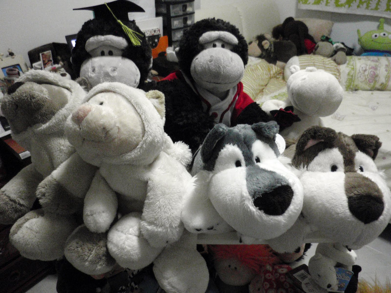 All About NICI: Collections or...