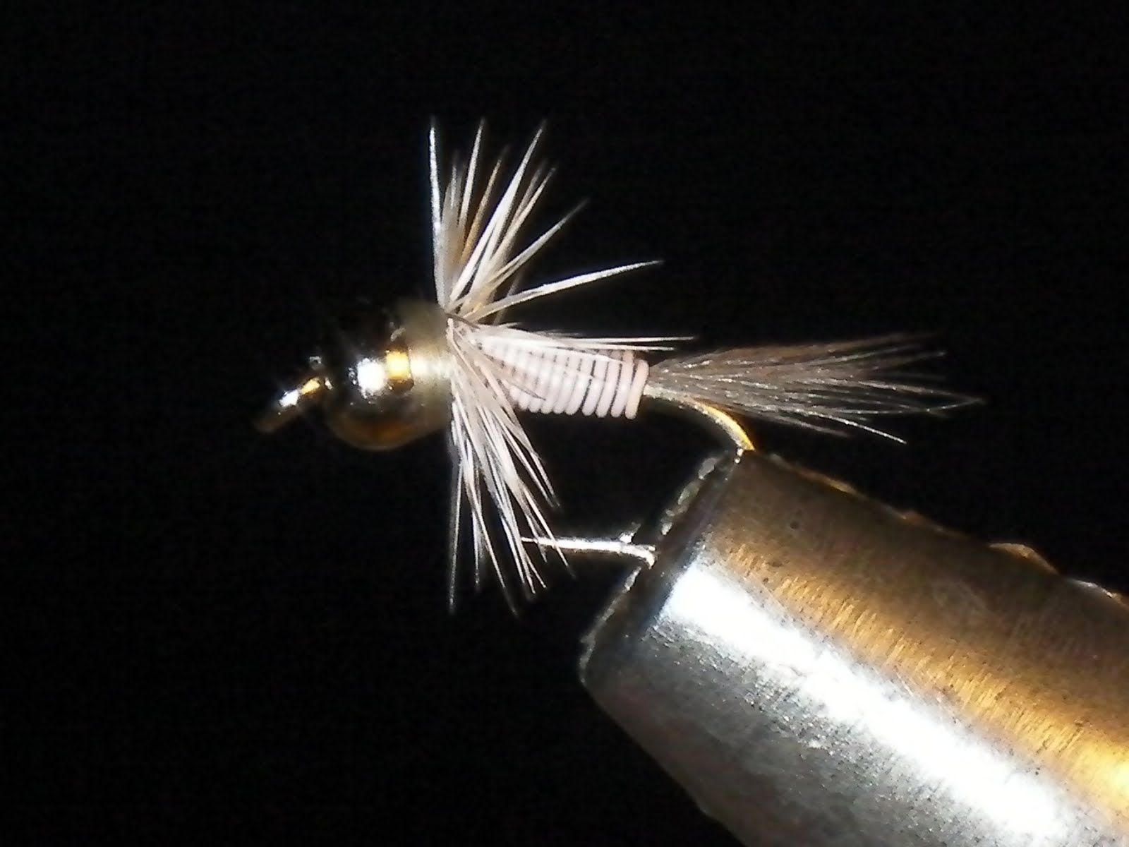 Fly Tying Videos: How to Tie Flies for Freshwater and Saltwater: How to ...