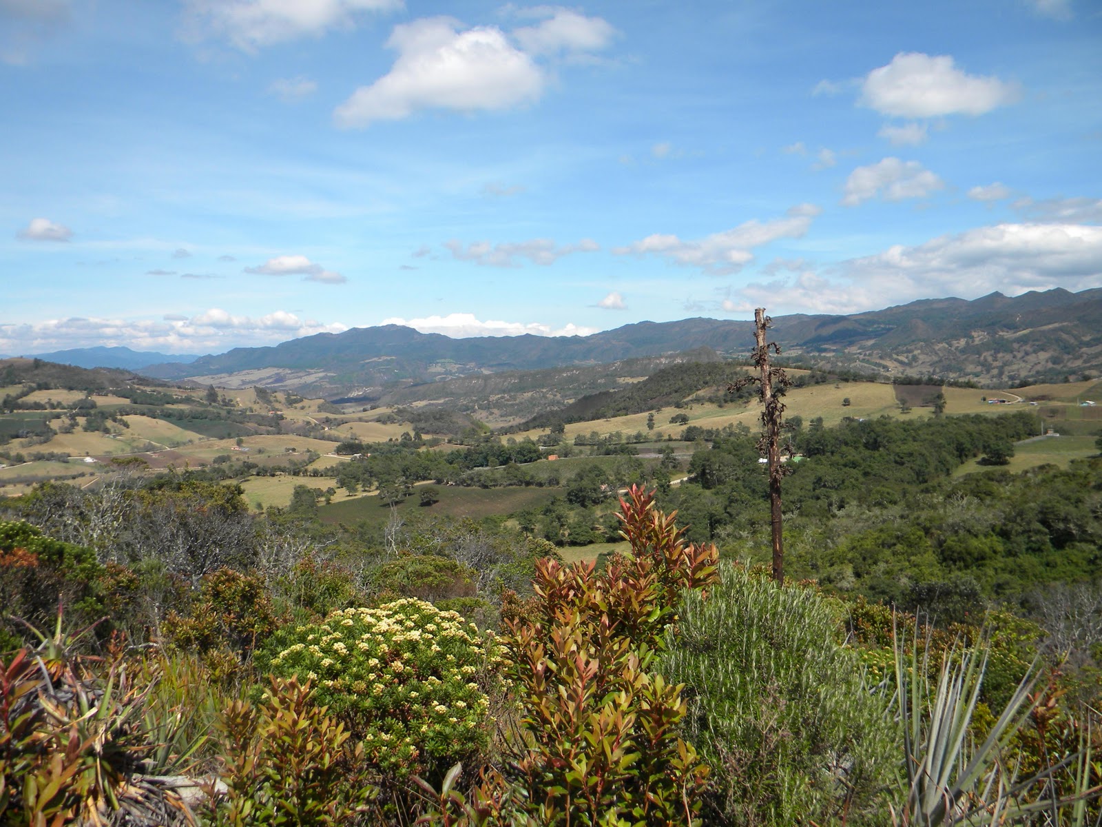 TIERRA DEL DORADO: Leyenda de la Cacica de Guatavita