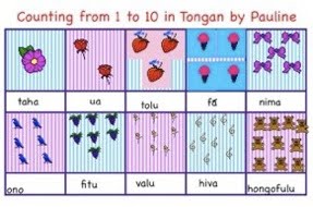 ADDINGTON SCHOOL ESOL: Wall Display - How to Catch a Star