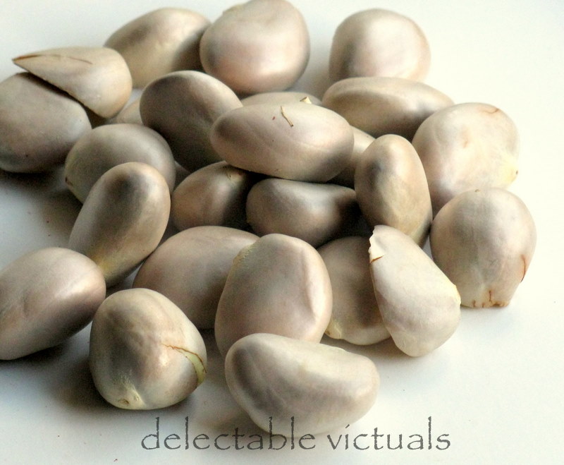 Delectable Victuals: Jackfruit Pit: Chakka Kottai Molagoottal