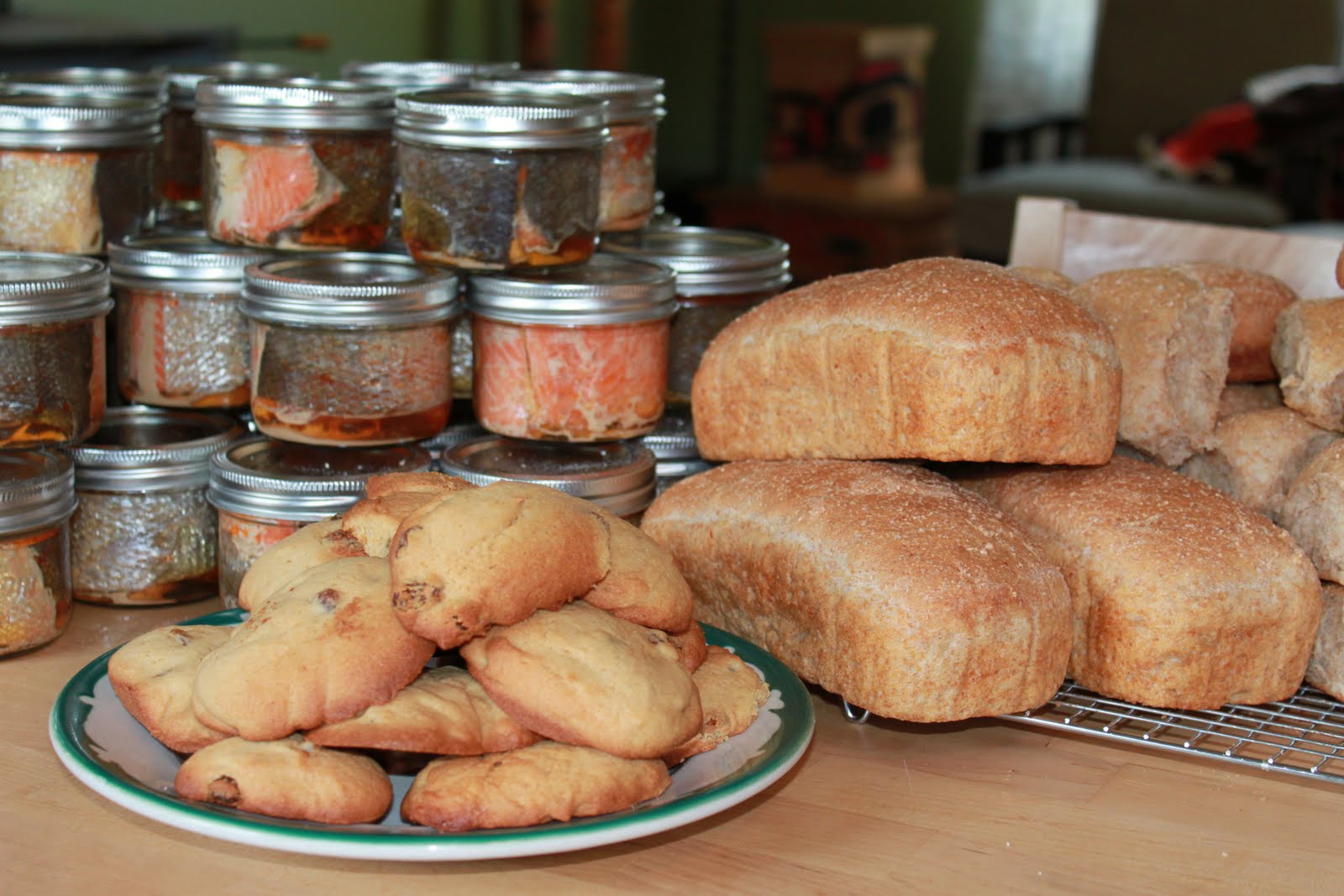 A family adventure on Haida Gwaii