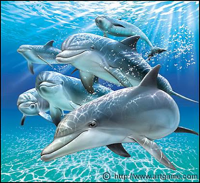 Interesting, Cool, Amazing Things: Dolphins