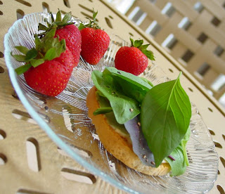 HOLLAND RUSK RECIPES