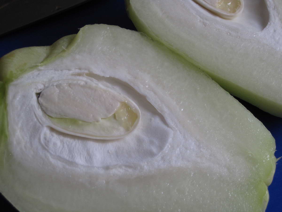 Blessed Homemaker: Chayote and Fresh Chinese Yam Soup