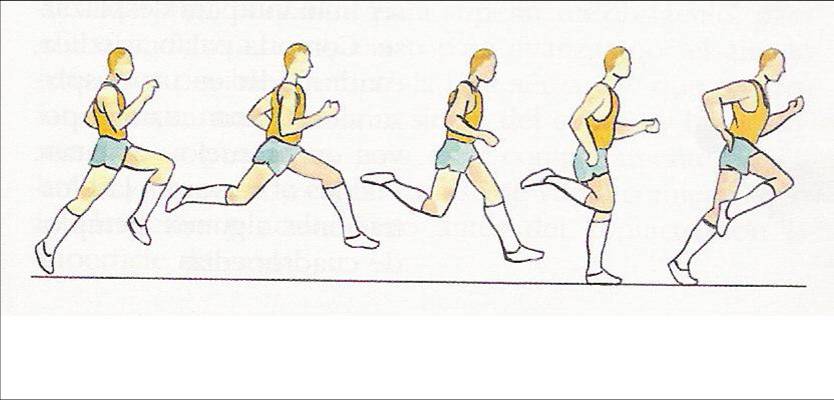 HABILIDIDADES MOTRICES BASICAS