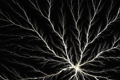 Damn Amazing: Captured Lightning - Lichtenberg Figures