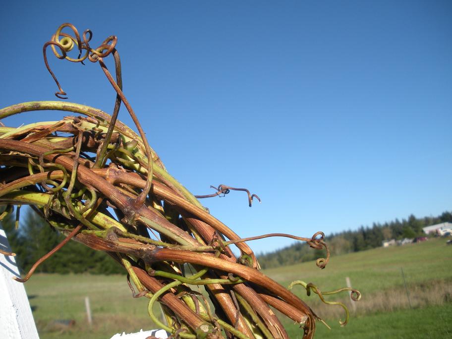 Lady Farmer's Garden: Hand Crafted Grapevine Wreath