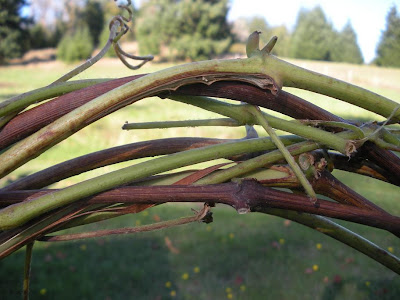 Lady Farmer's Garden: Hand Crafted Grapevine Wreath