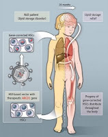 Terapi Gen | BIOLOGIPEDIA