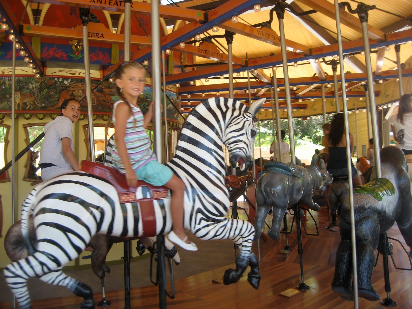 Wheelus: Hogel Zoo- July 6th