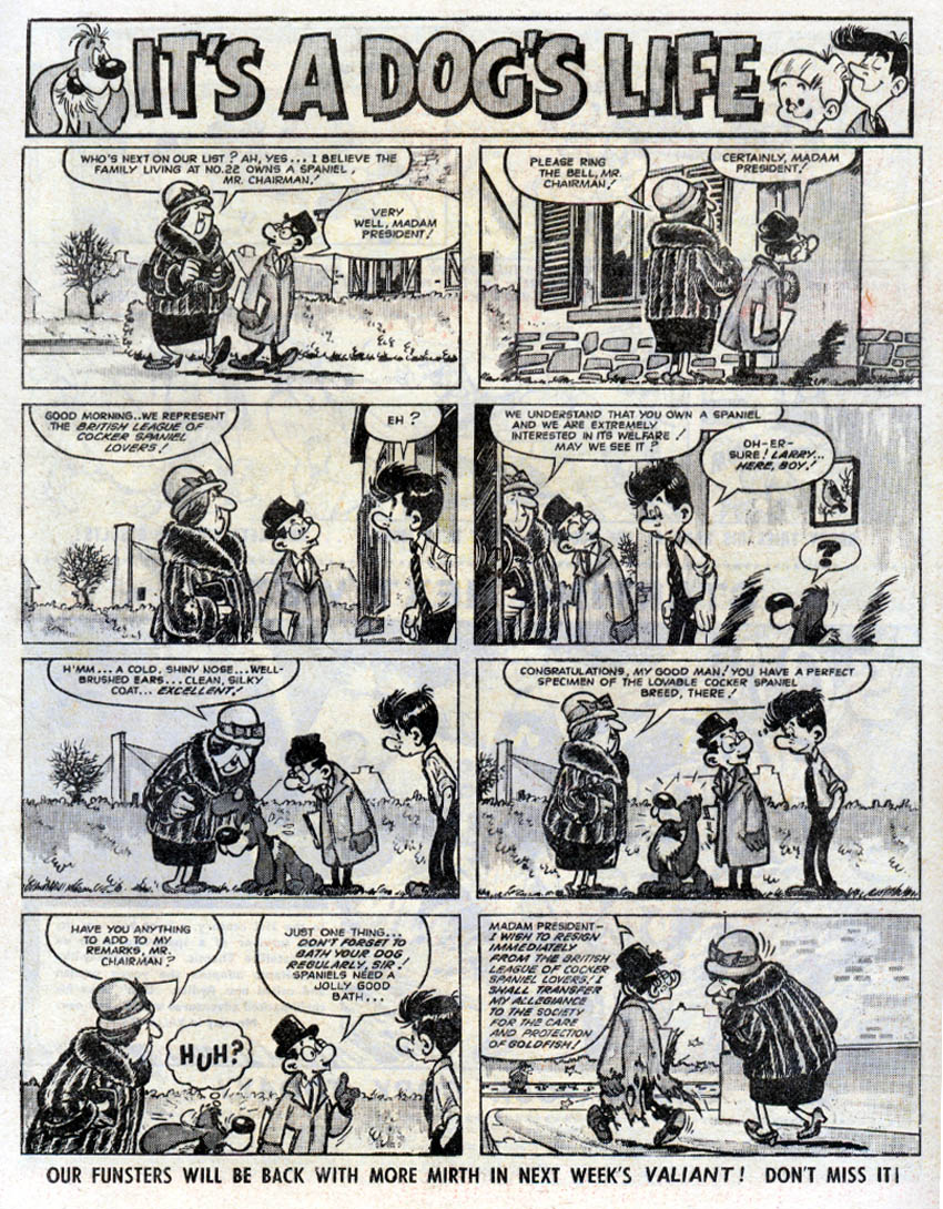 BLIMEY! The Blog of British Comics: Boule & Bill, Billy & Buddy, or ...