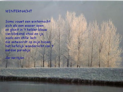 POEZIE en NATUUR: Winternacht