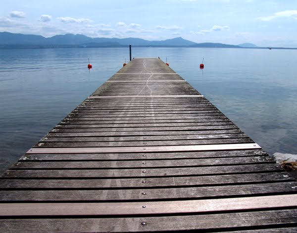 H Jon Benjamin, Be Still My Heart… | Coiled 薔薇 Rose