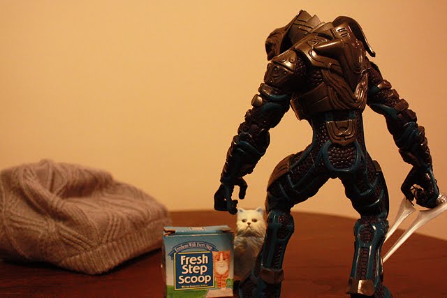 Master Chief Off Duty: Arbiter's weekend... part1