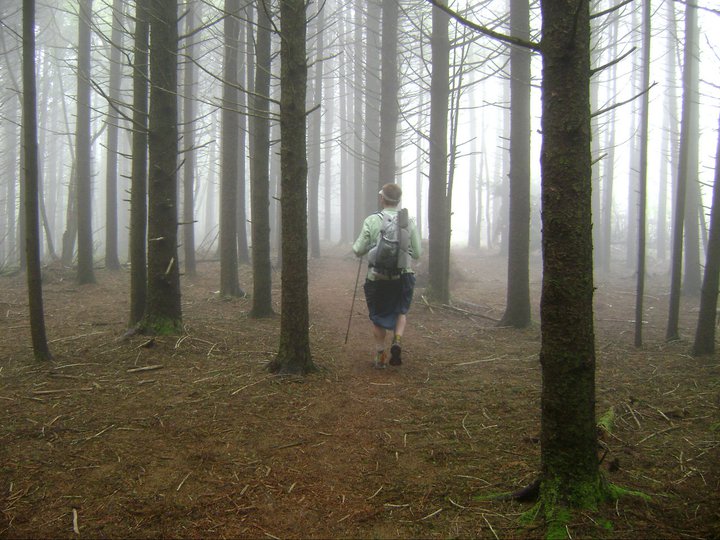 Memoirs of a Travel Addict: To Saunter in a Sylvan Glade