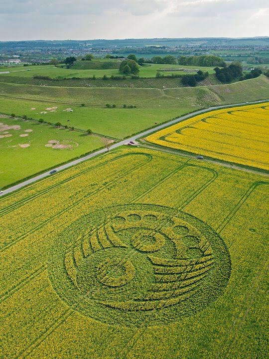 Crop Circle Season: Crop Circle Season 2010 : May Formations