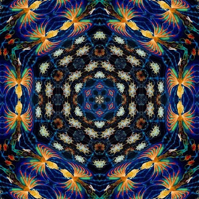 Psychedelic Pictures - Psychedelic Adventure